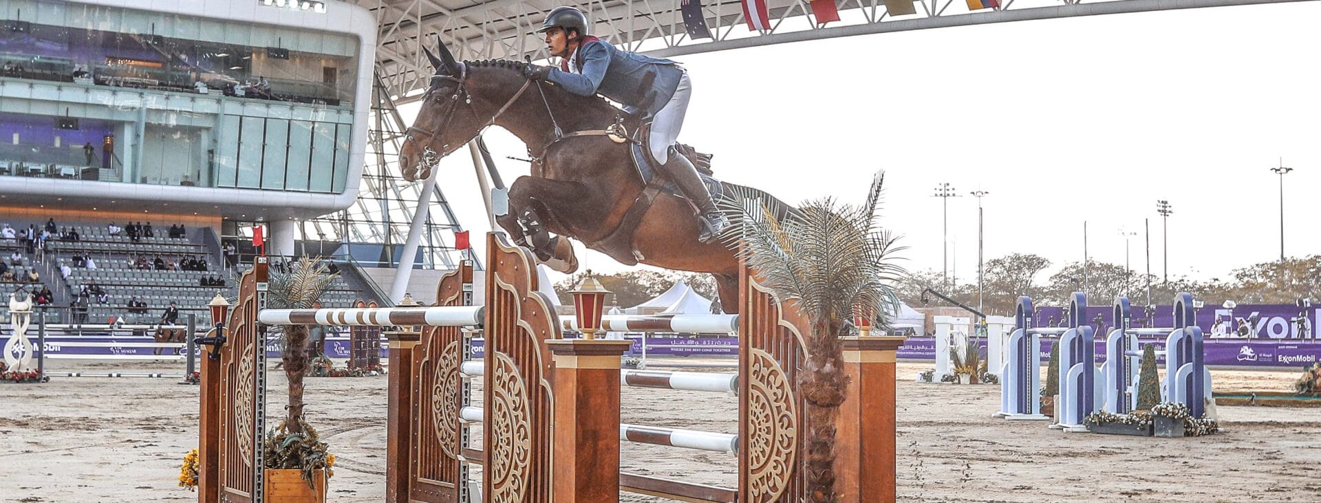 Buy a Horse in Europe | Europa Horse Agency