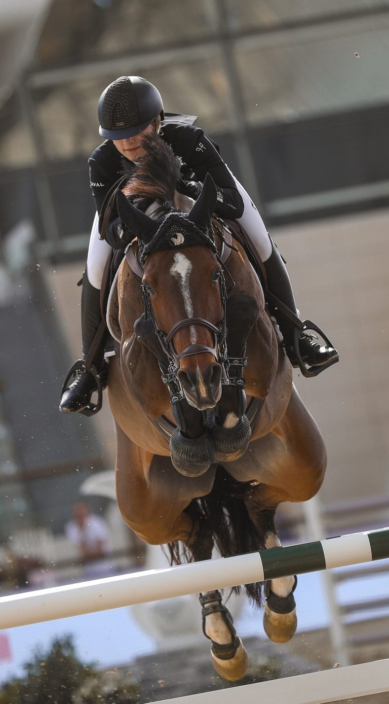 European Horses | Europa Horse Agency