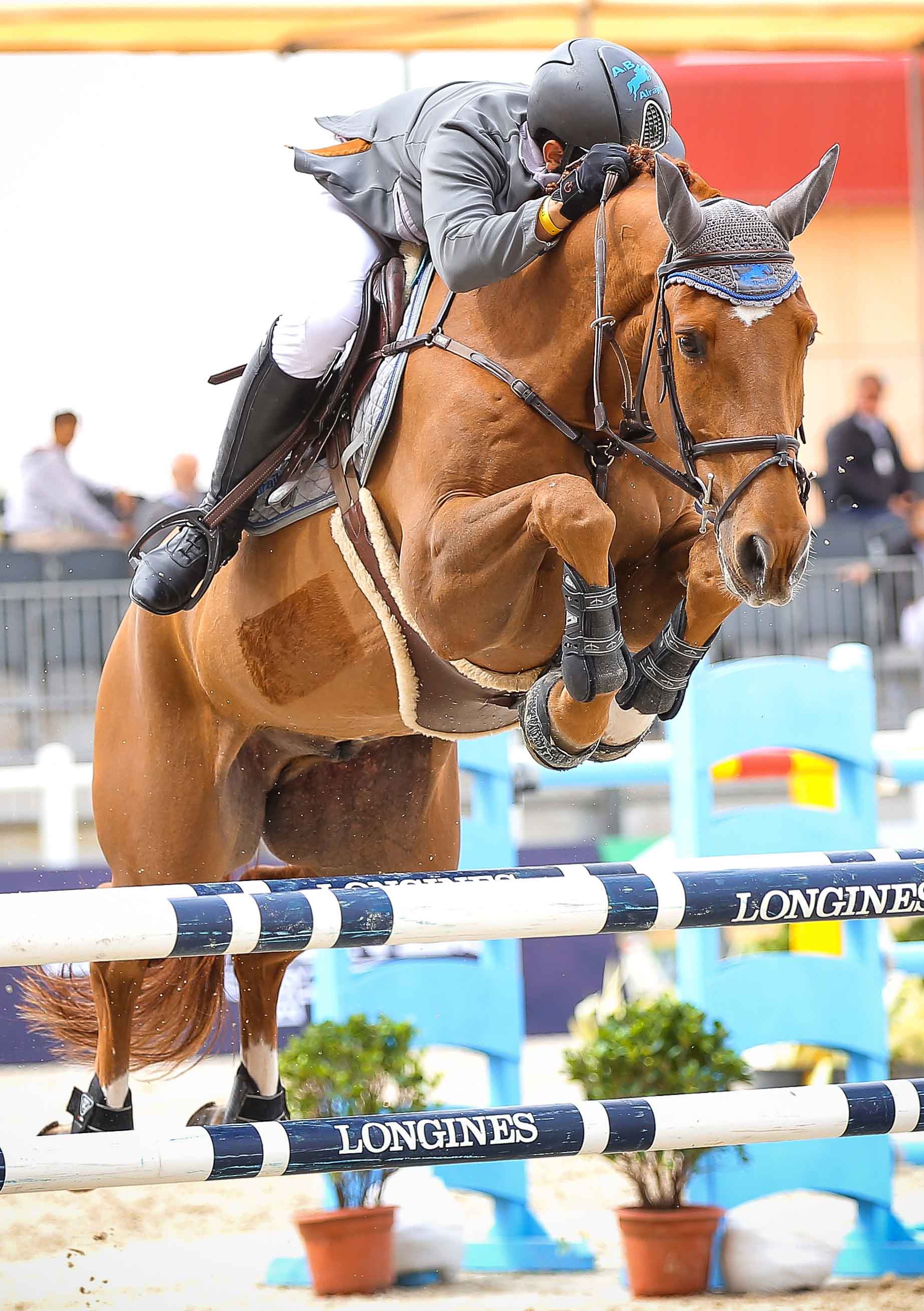 Europa Horse Blog | Europa Horse Agency